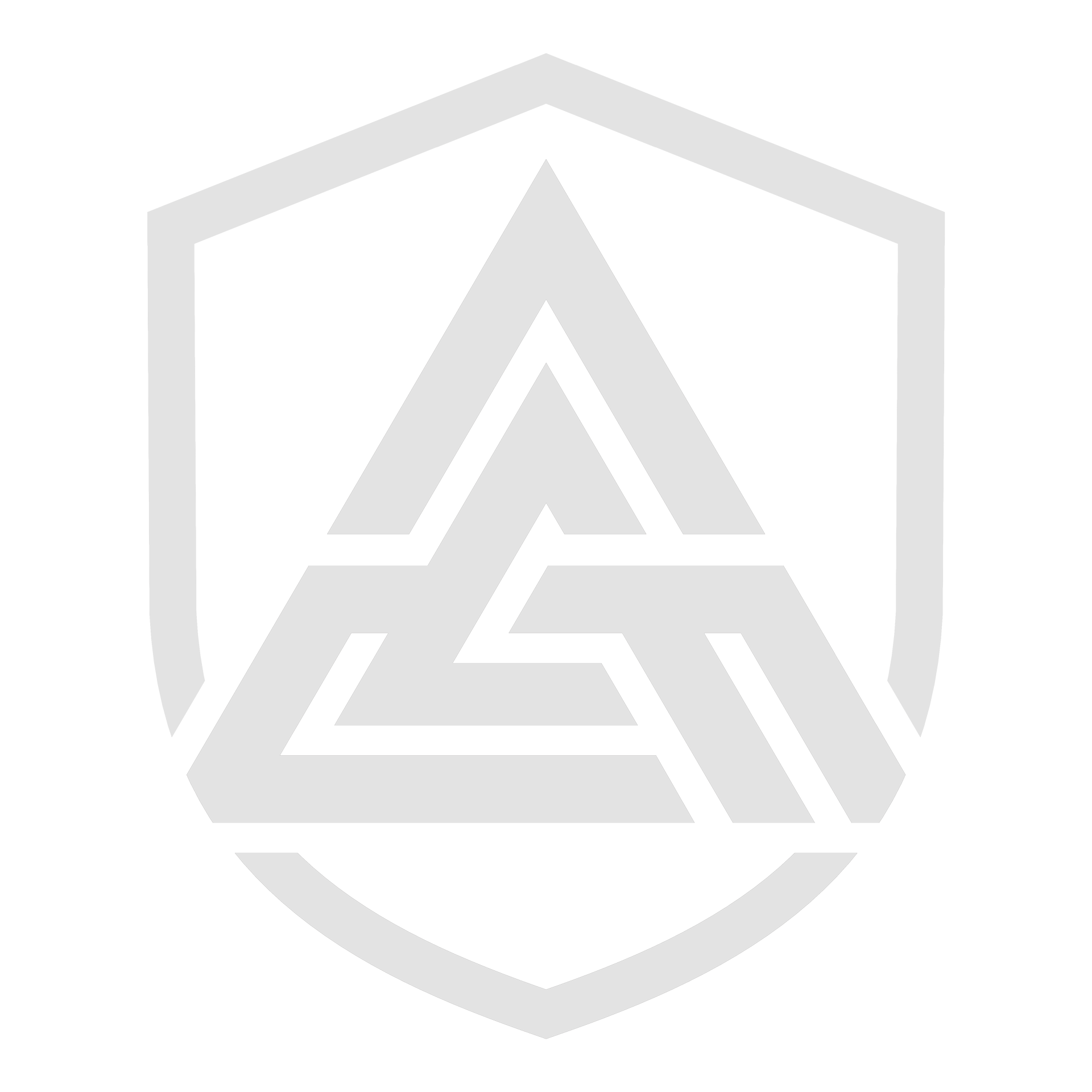 Apex Guardian Network | Elevating Protection